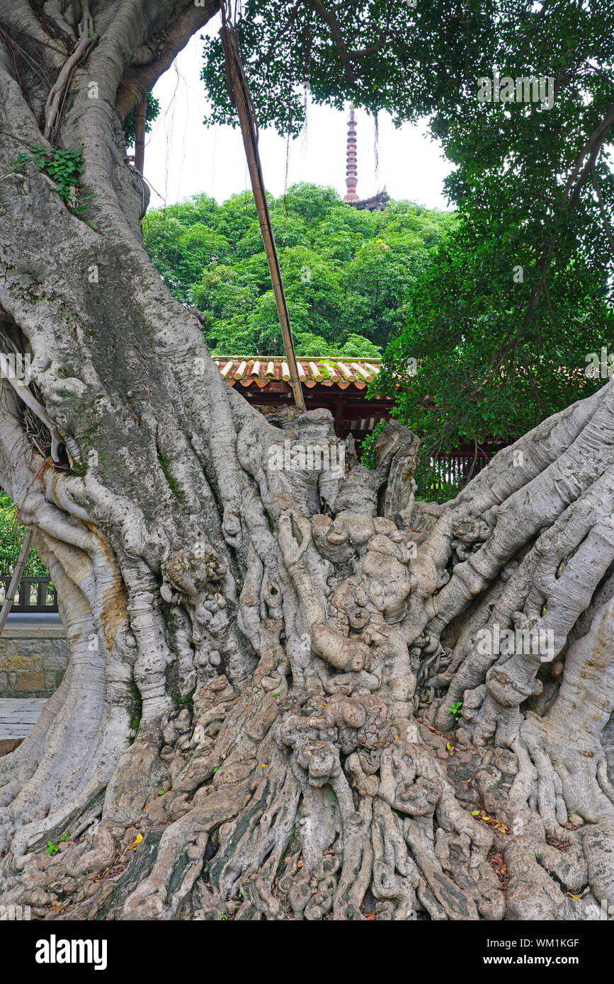 QUANZHOU, CHINA –15 JUN 2019- View of the landmark Quanzhou Kaiyuan ...