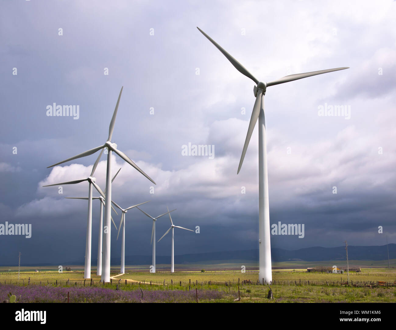 Wind turbines generating electricity in a stormy weather Stock Photo ...