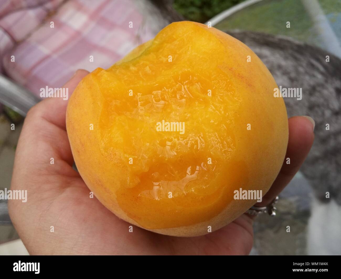 Hand holding peach hi-res stock photography and images - Alamy