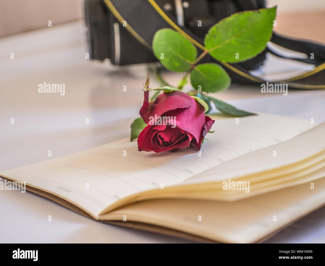 Book red rose hi-res stock photography and images - Alamy