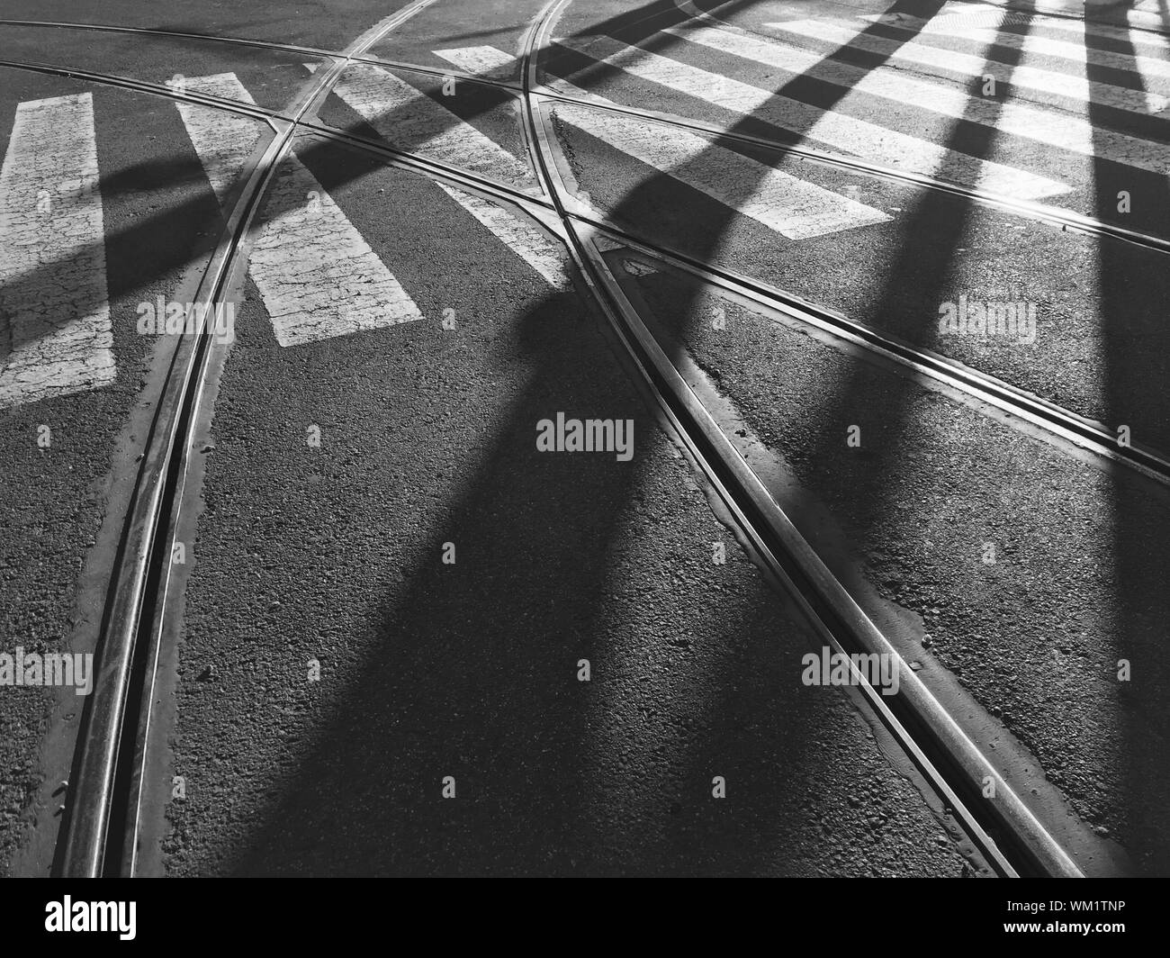 Zebra tracks hi-res stock photography and images - Alamy