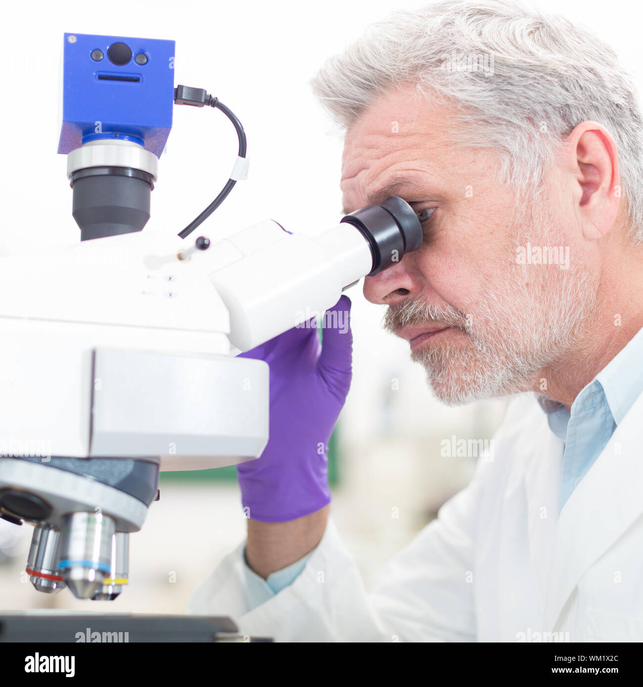 Senior head scientist microscoping in the life science research ...