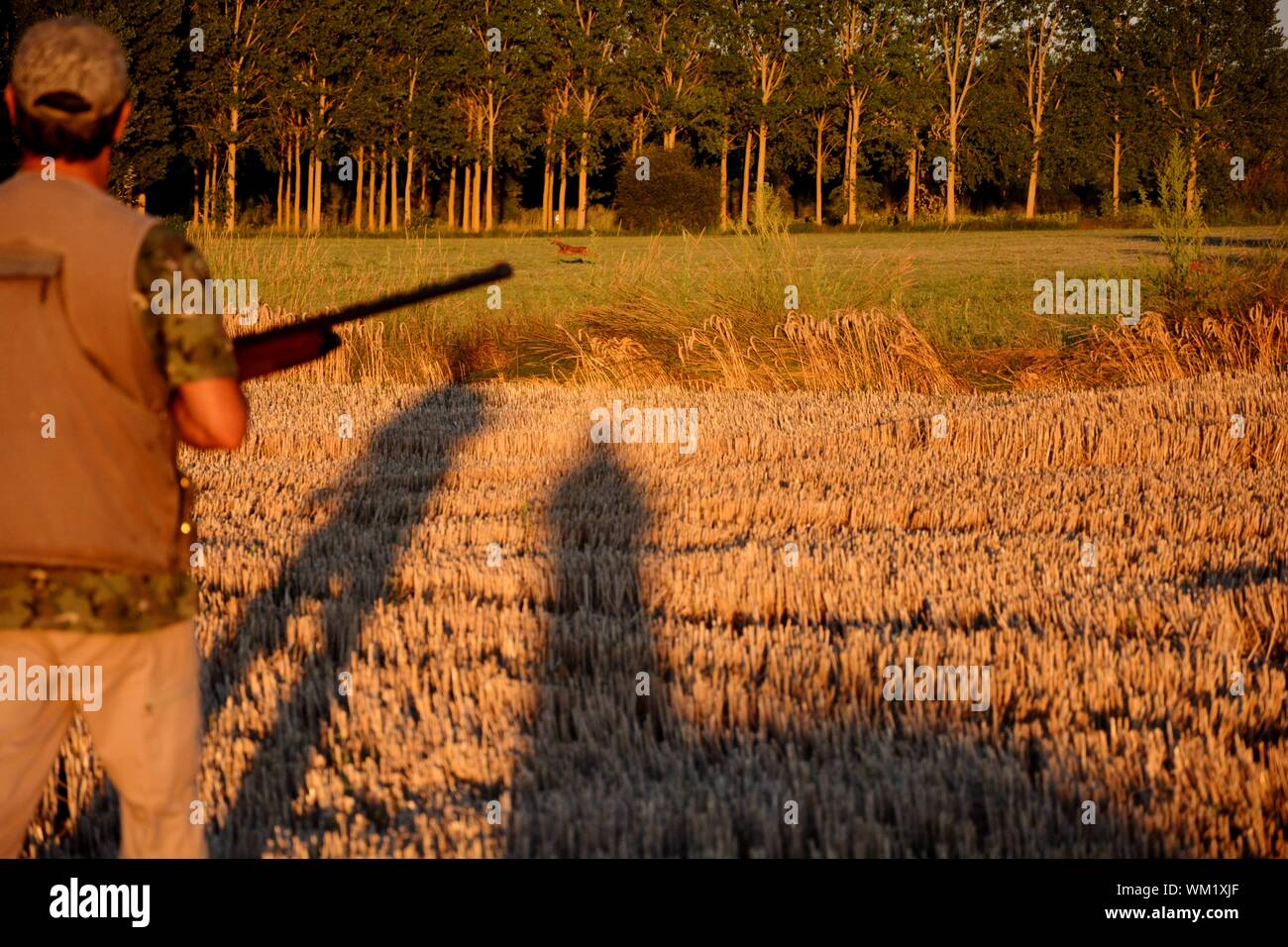 Shadow hunter hi-res stock photography and images - Alamy