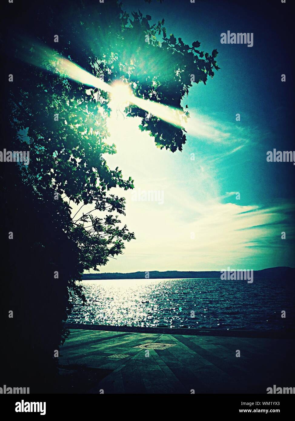 Sun filter through hi-res stock photography and images - Alamy