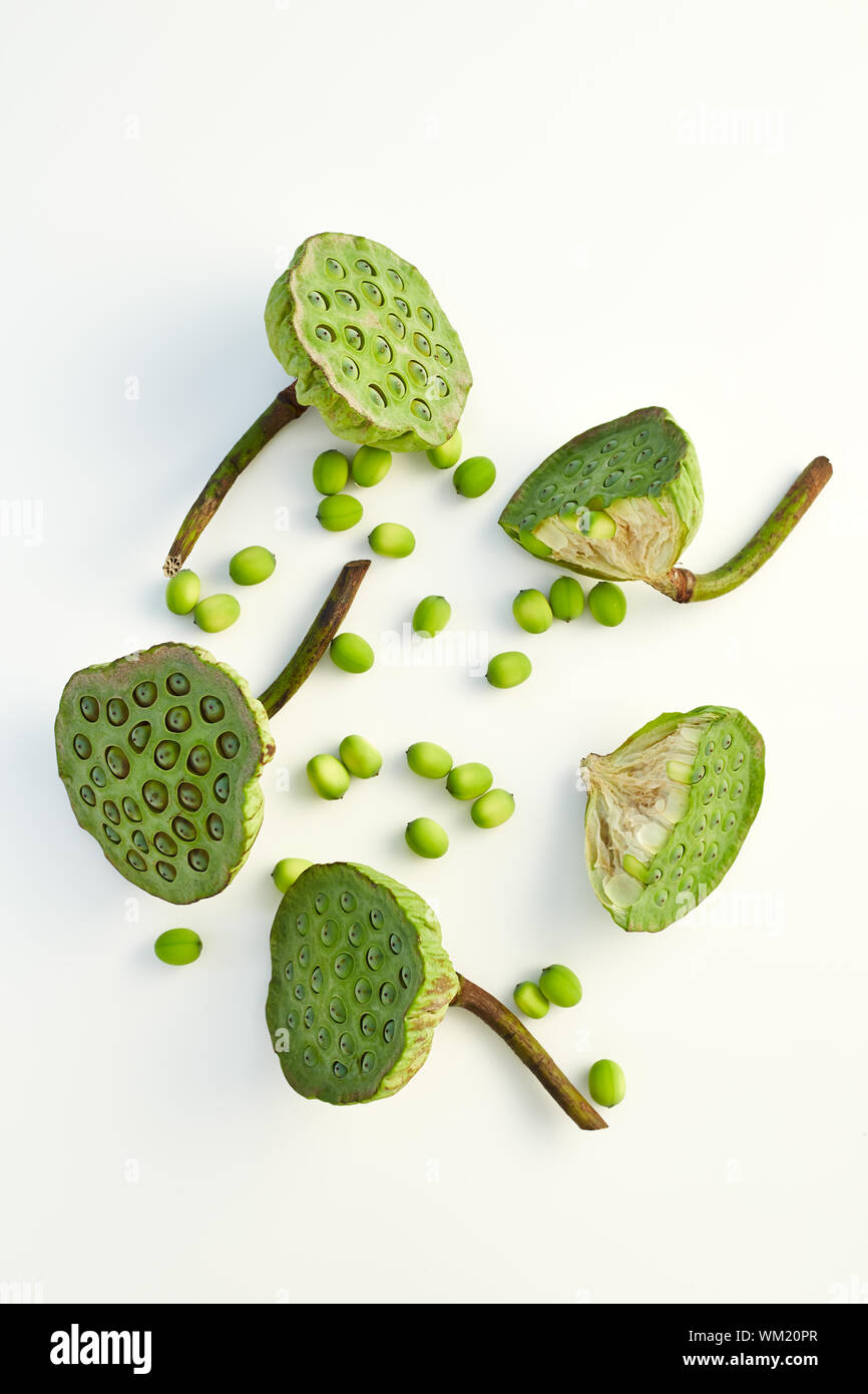 Green lotus seed pods hi-res stock photography and images - Alamy