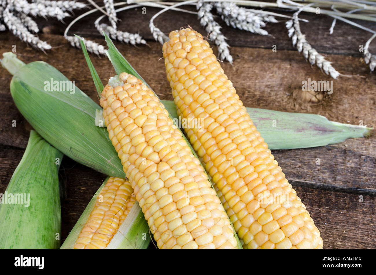 Raw corn on wood table with wheat Stock Photo - Alamy