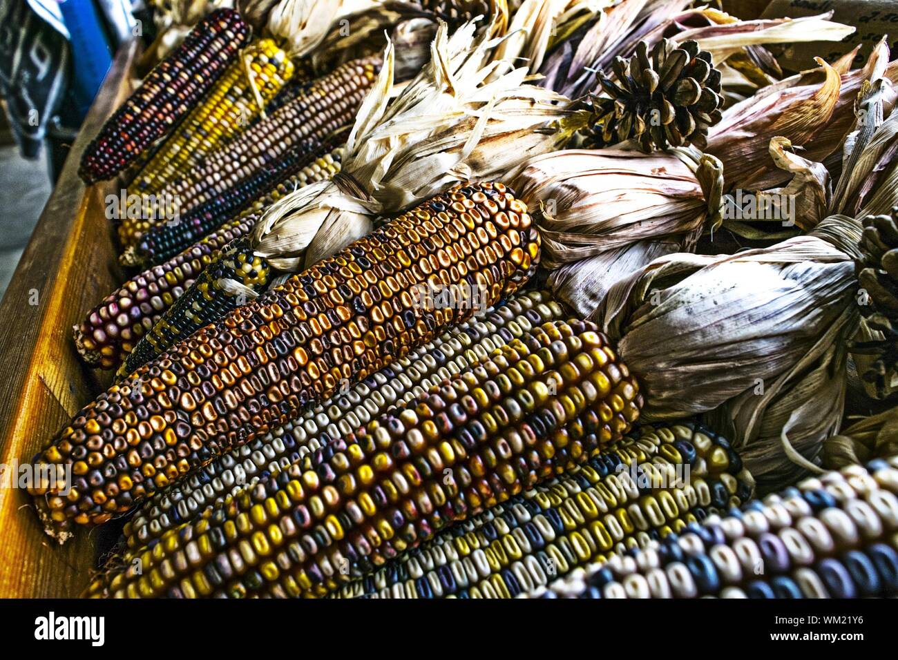 Corn display hi-res stock photography and images - Alamy