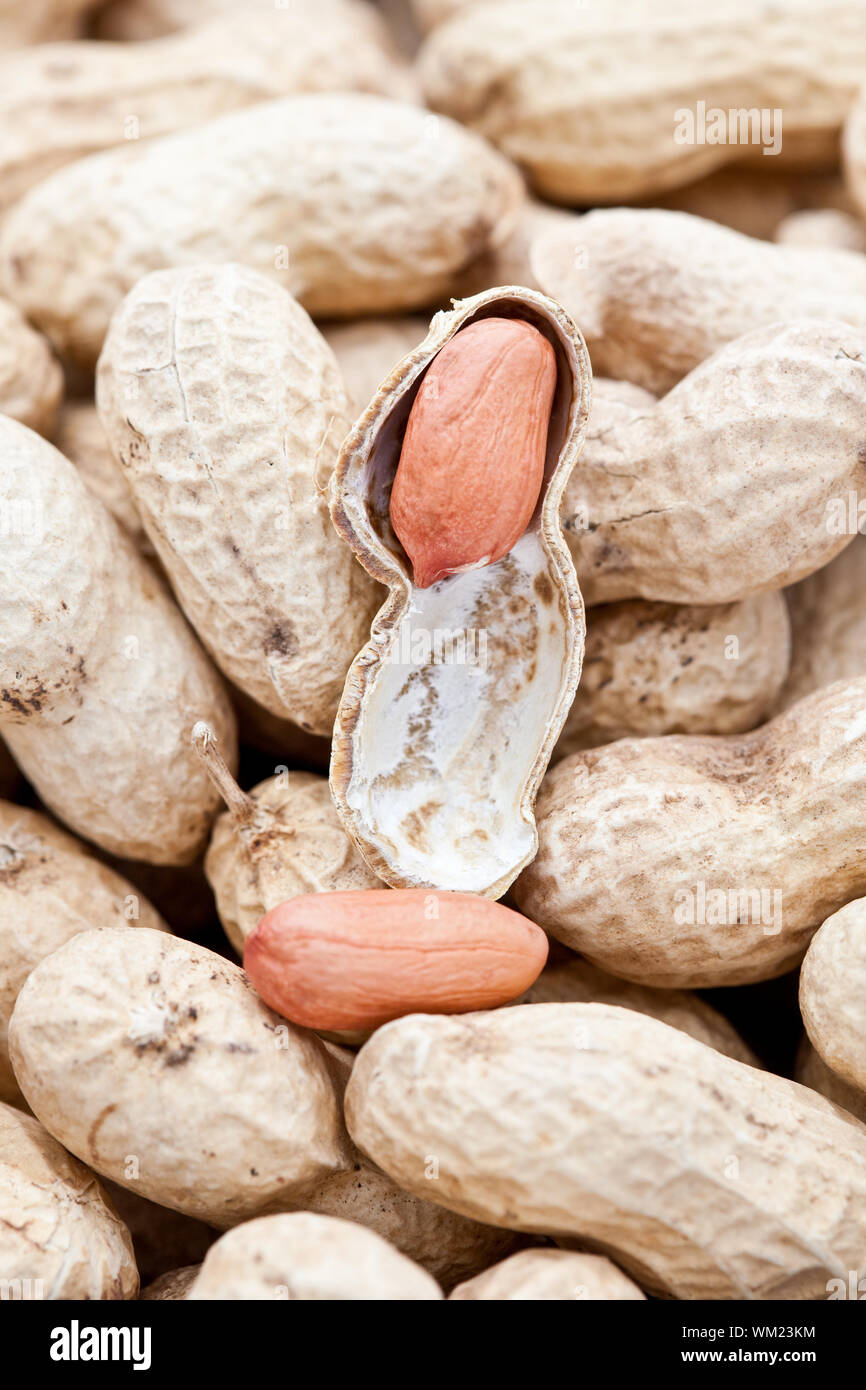 Peanuts, know also as monkey nuts in shells Stock Photo - Alamy