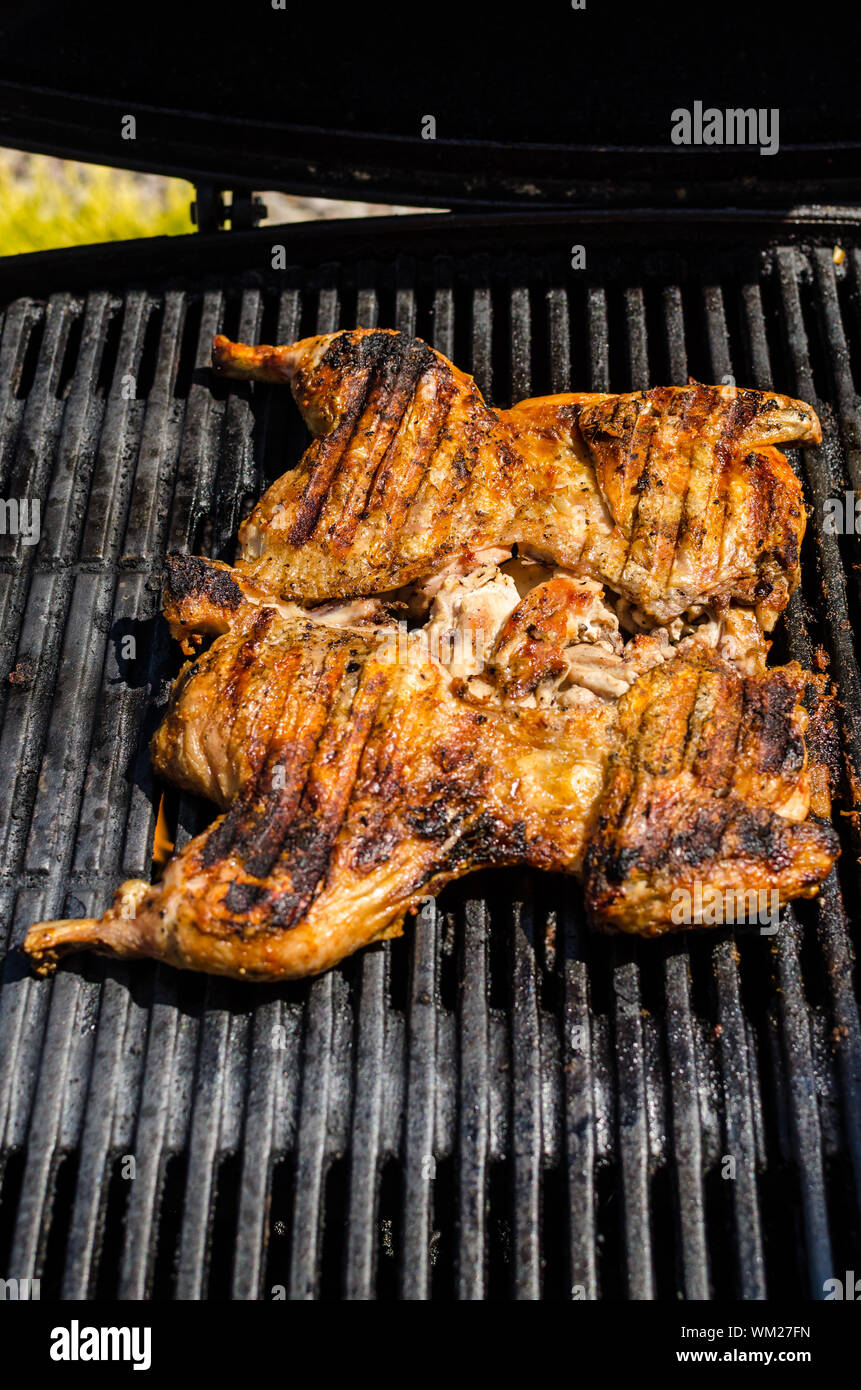 Chicken under a brick with panzanella salad. Pollo al mattone Stock ...