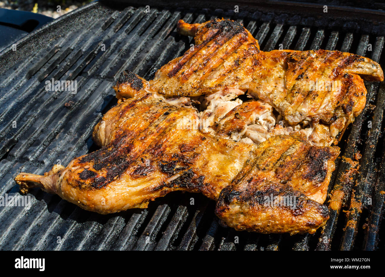Chicken under a brick with panzanella salad. Pollo al mattone Stock ...