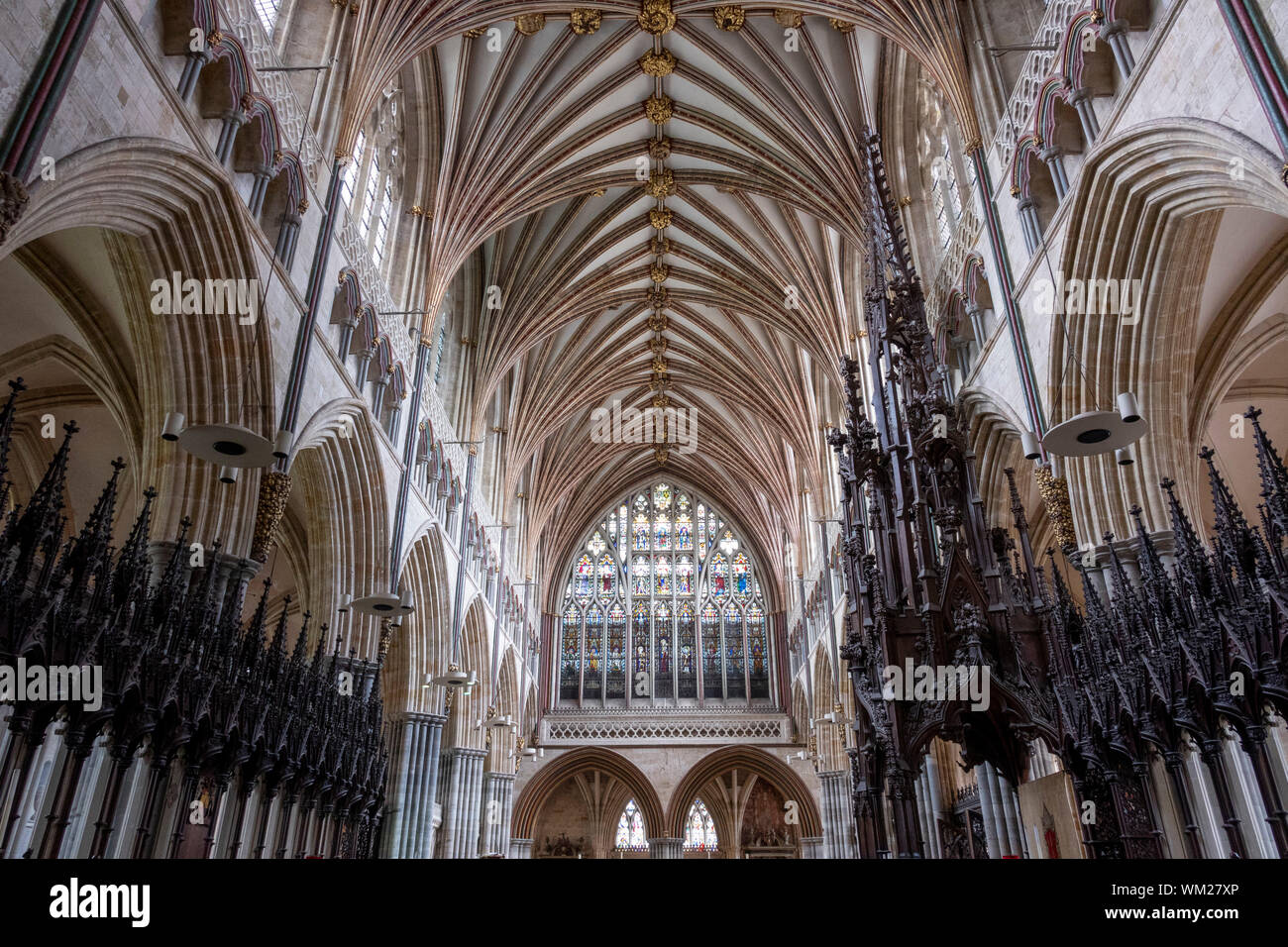 Exeter cathedral roof hi-res stock photography and images - Alamy
