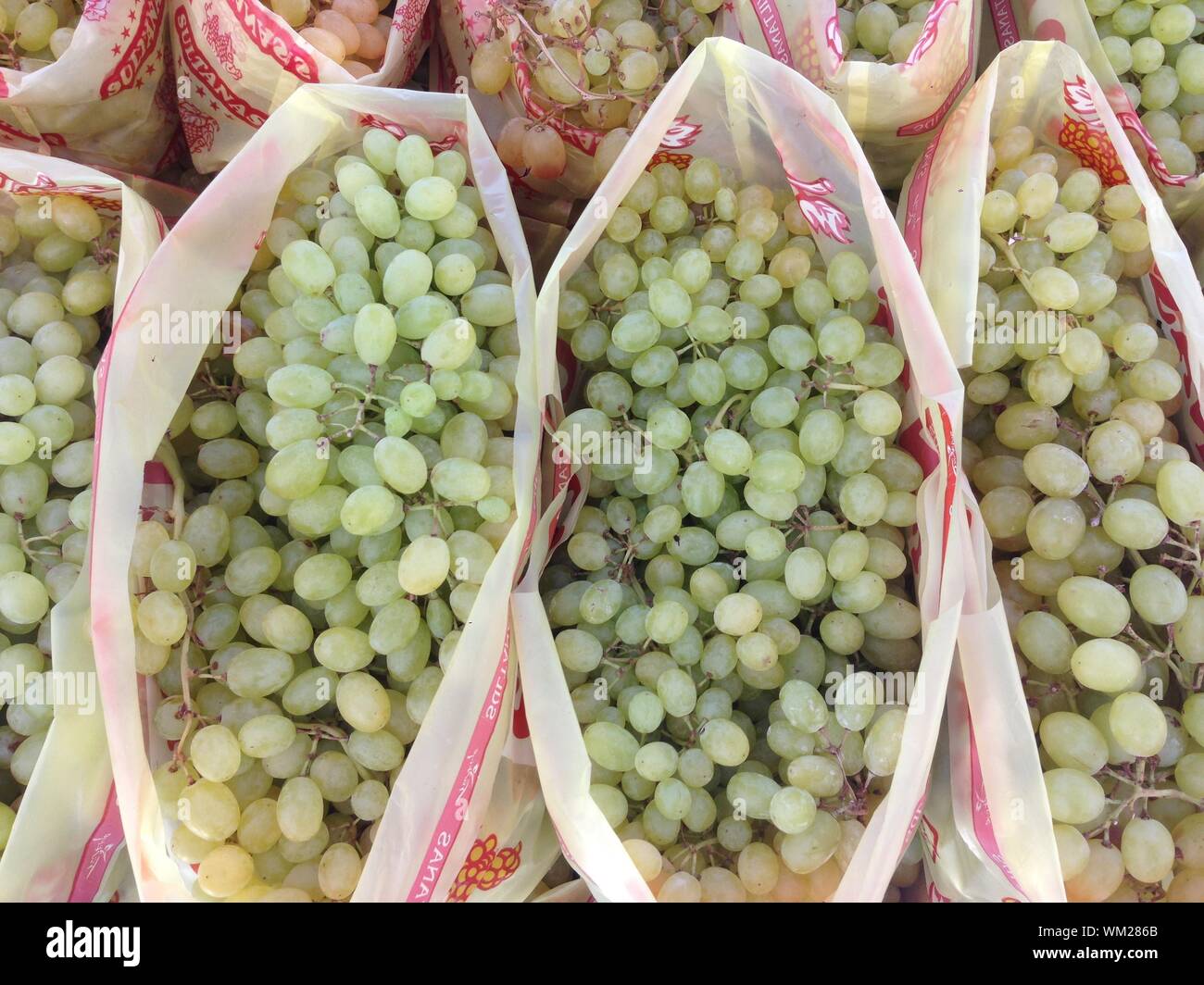 Green sacks hi-res stock photography and images - Alamy