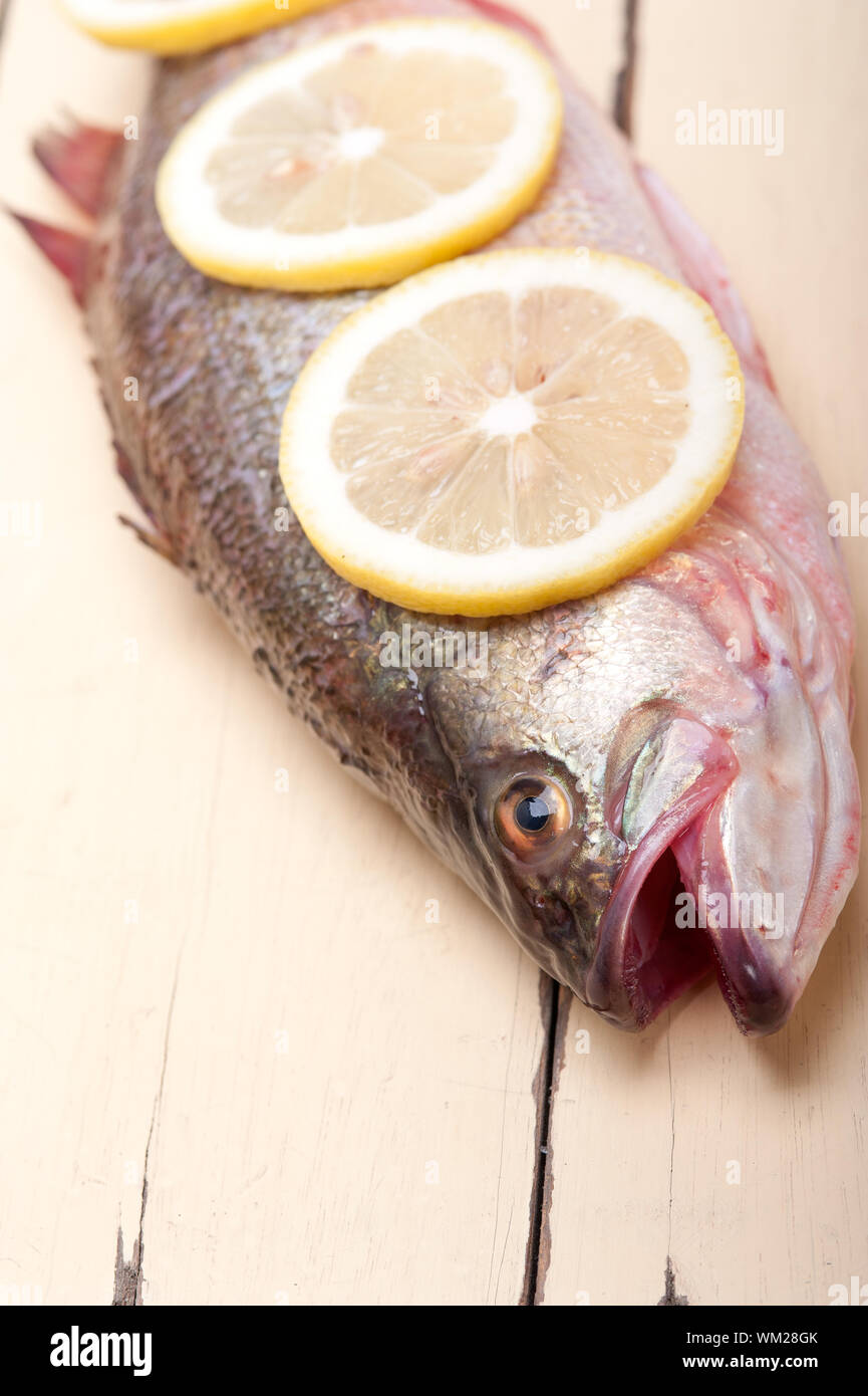 Healthy fish hi-res stock photography and images - Alamy