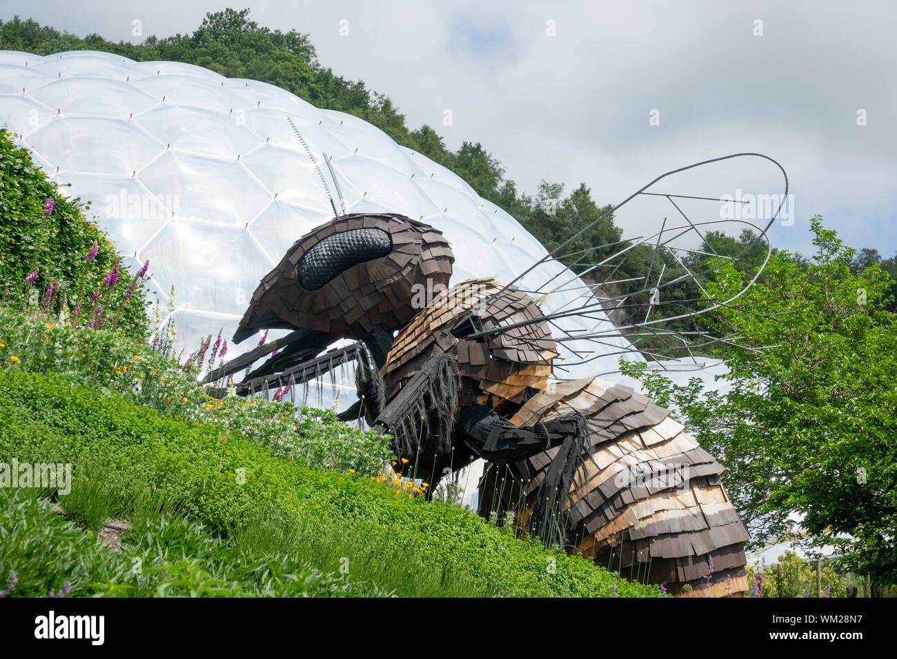 Model of a bee, Eden Project, St Austell, Cornwall, UK Stock Photo - Alamy