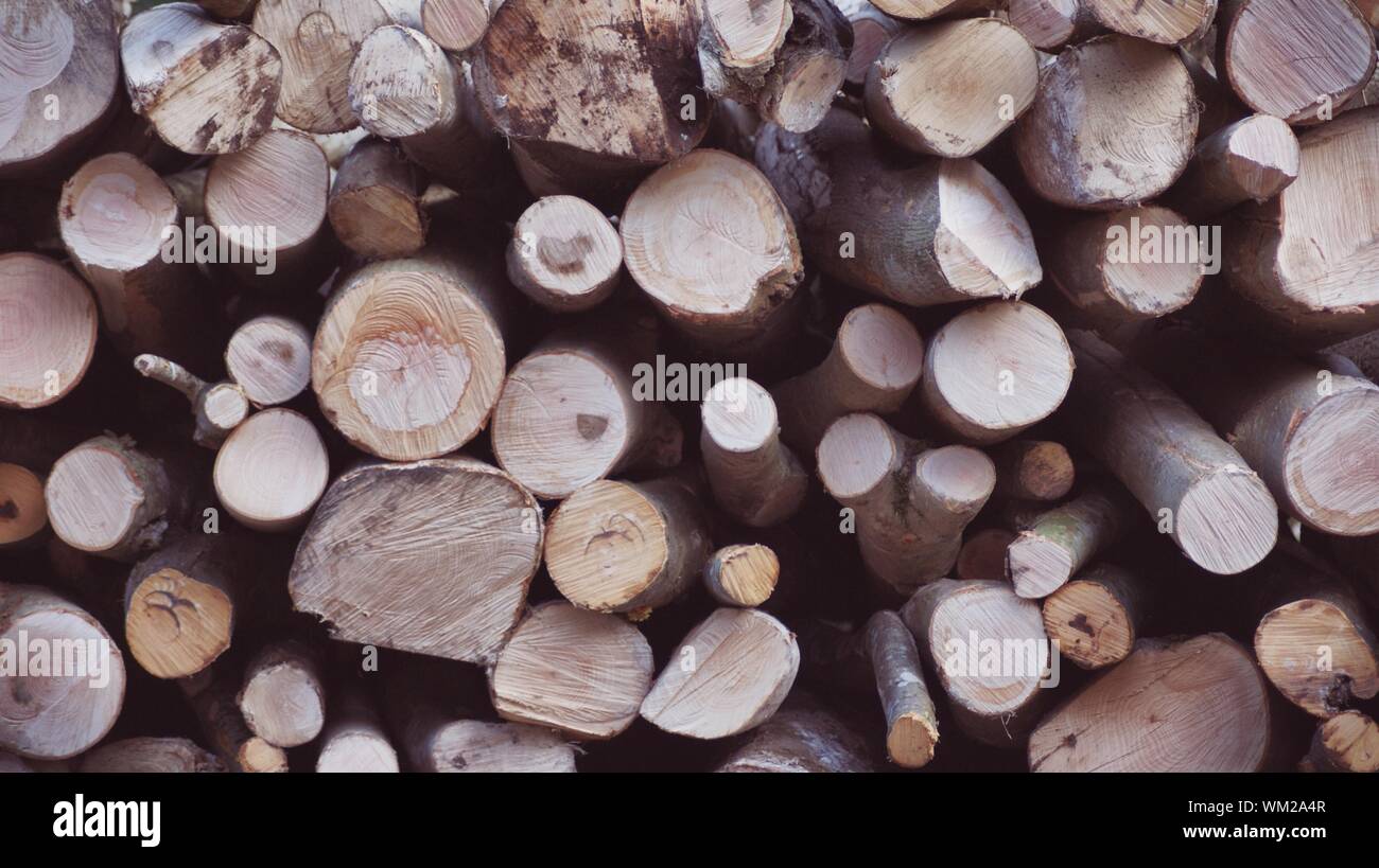 Large logs for firewood hi-res stock photography and images - Alamy