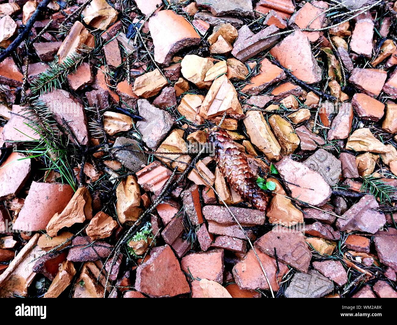 Broken cone hi-res stock photography and images - Alamy