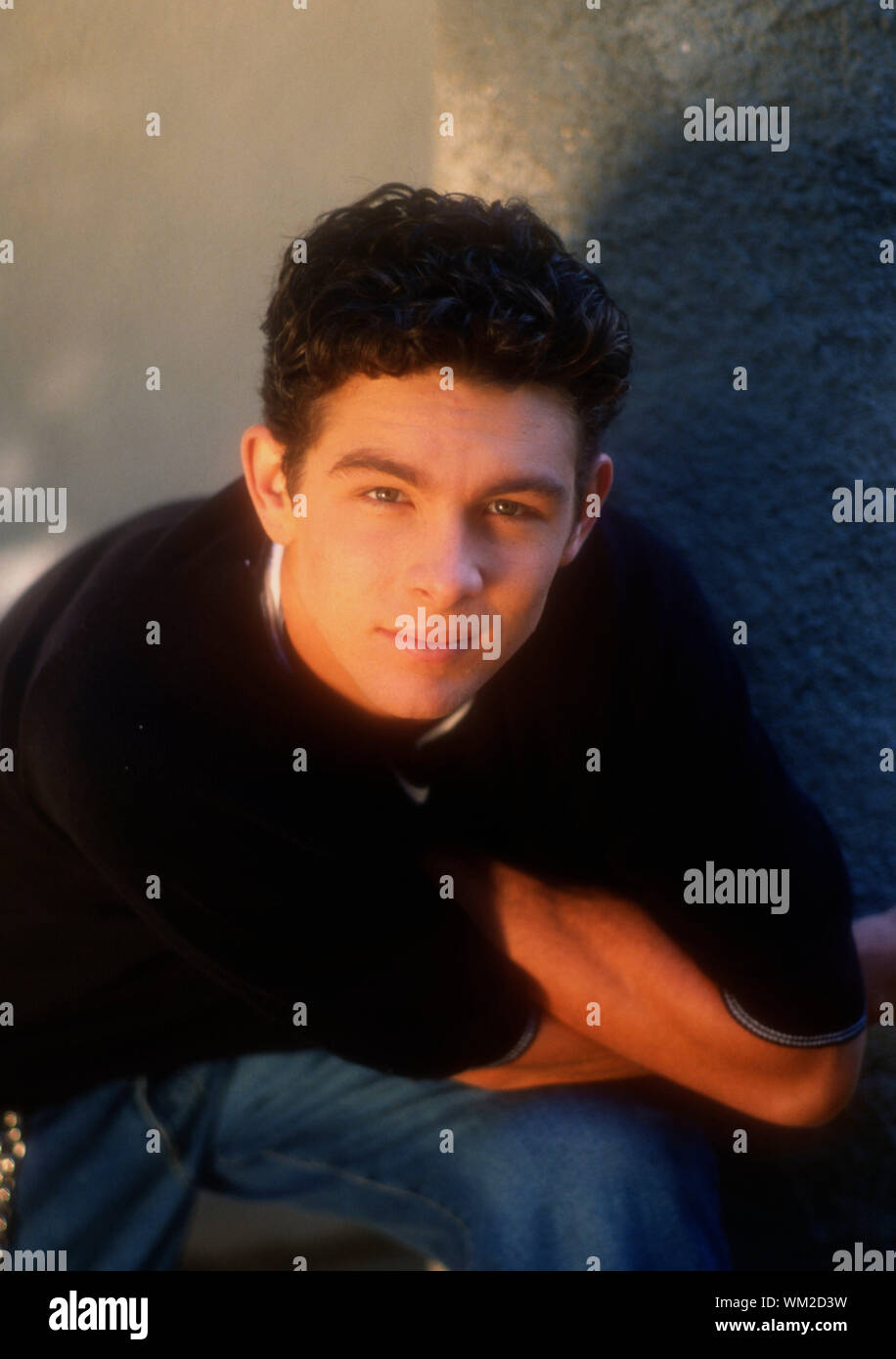 Los Angeles, California, USA 26th November 1994 (Exclusive) Actor Ryan ...