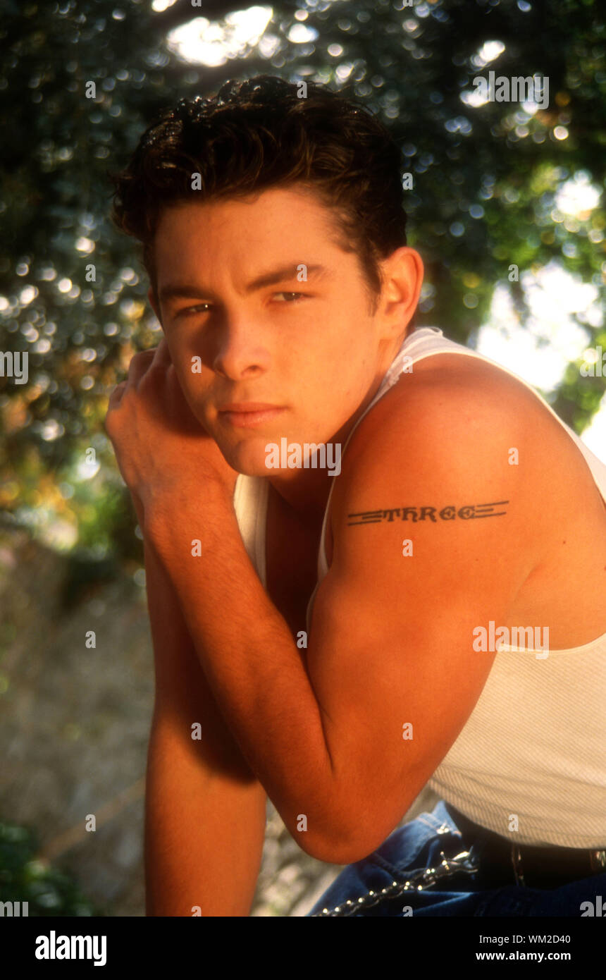 Los Angeles, California, USA 26th November 1994 (Exclusive) Actor Ryan ...