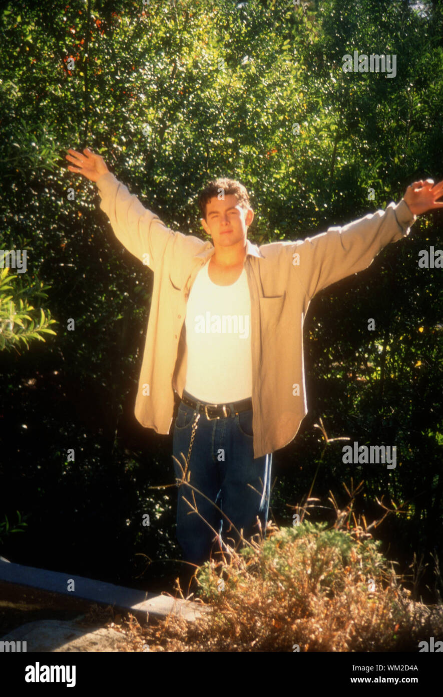 Los Angeles, California, USA 26th November 1994 (Exclusive) Actor Ryan ...