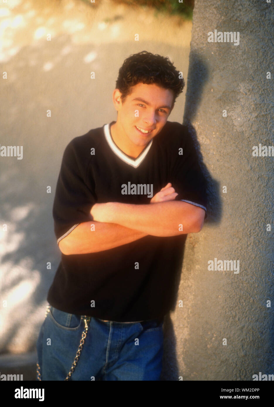 Los Angeles, California, USA 26th November 1994 (Exclusive) Actor Ryan ...