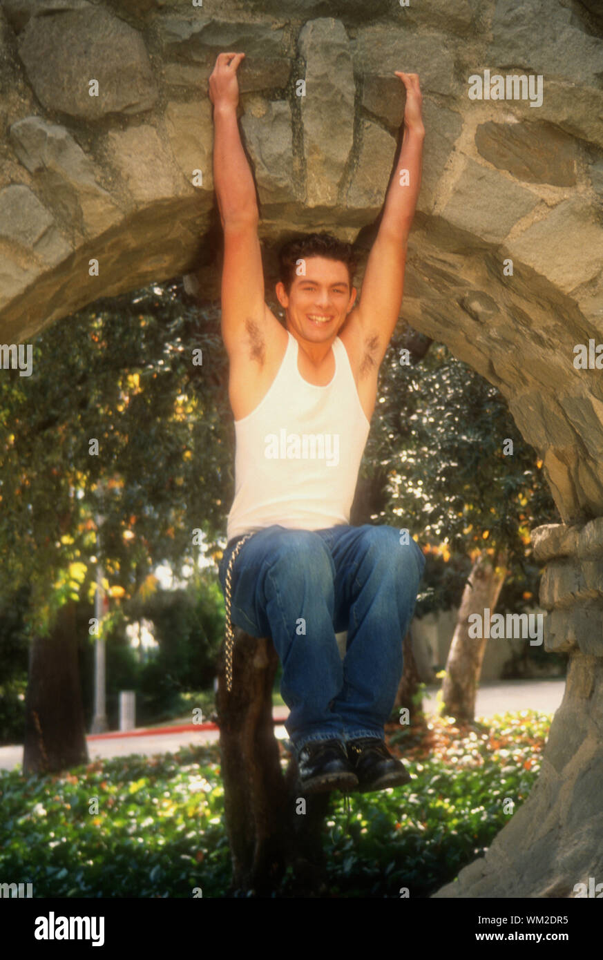 Los Angeles, California, USA 26th November 1994 (Exclusive) Actor Ryan ...