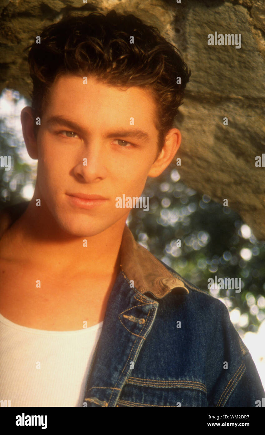 Los Angeles, California, USA 26th November 1994 (Exclusive) Actor Ryan ...