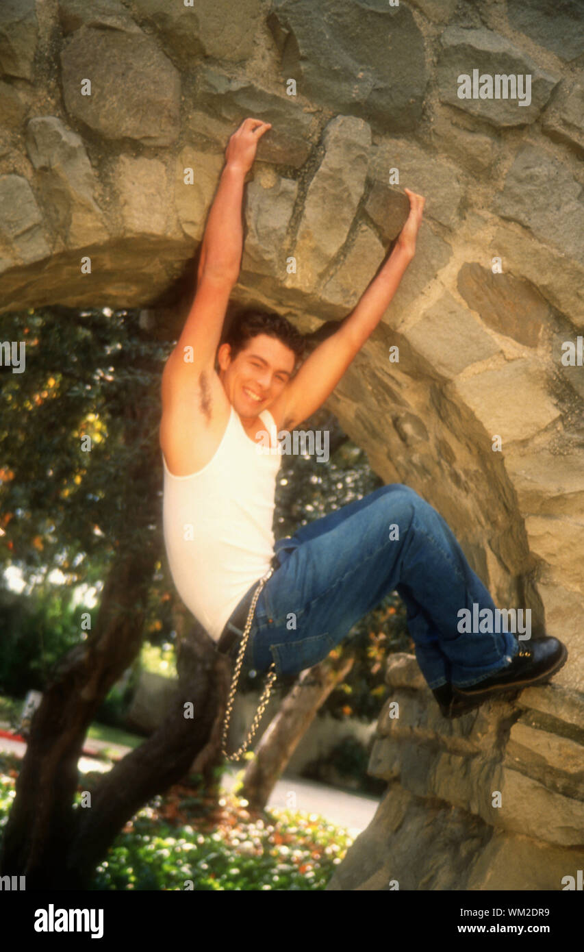 Los Angeles, California, USA 26th November 1994 (Exclusive) Actor Ryan ...