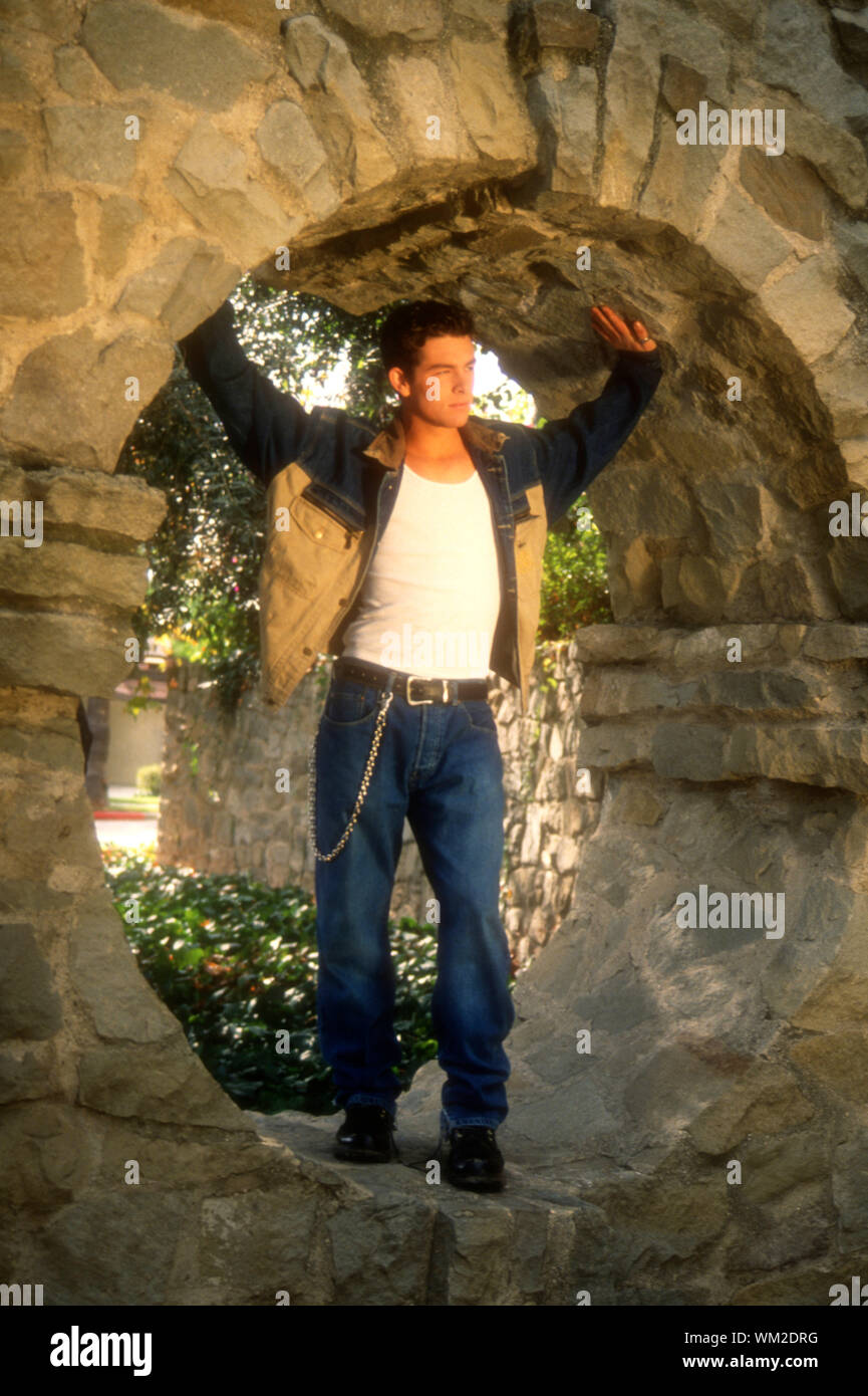 Los Angeles, California, USA 26th November 1994 (Exclusive) Actor Ryan ...