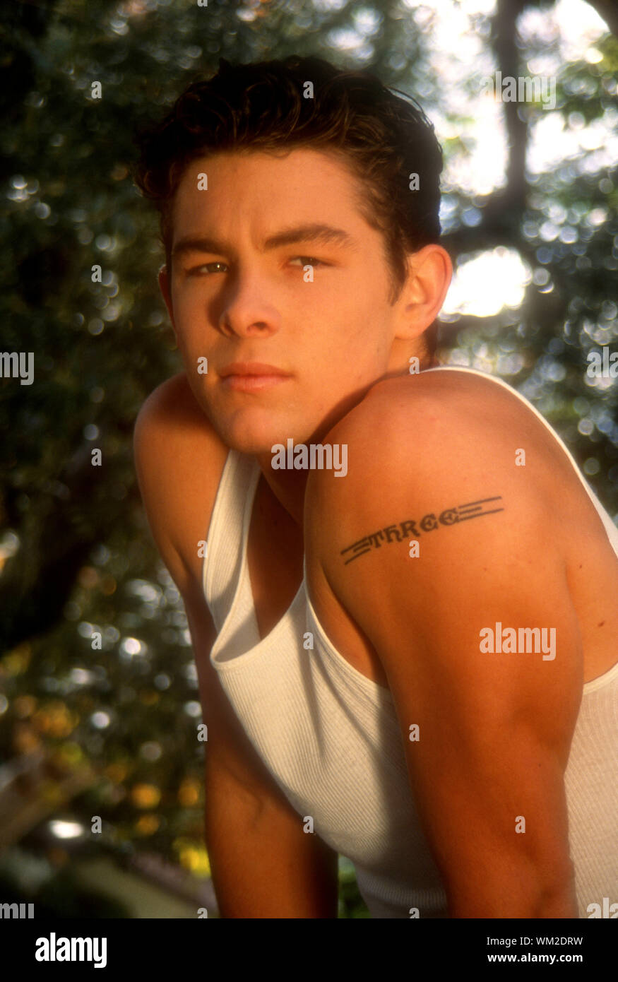 Los Angeles, California, USA 26th November 1994 (Exclusive) Actor Ryan ...