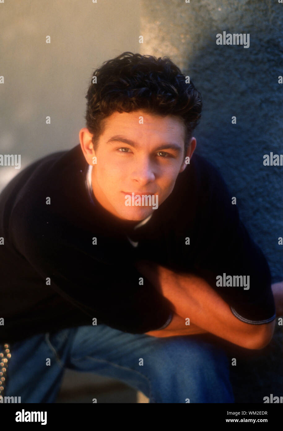 Los Angeles, California, USA 26th November 1994 (Exclusive) Actor Ryan ...