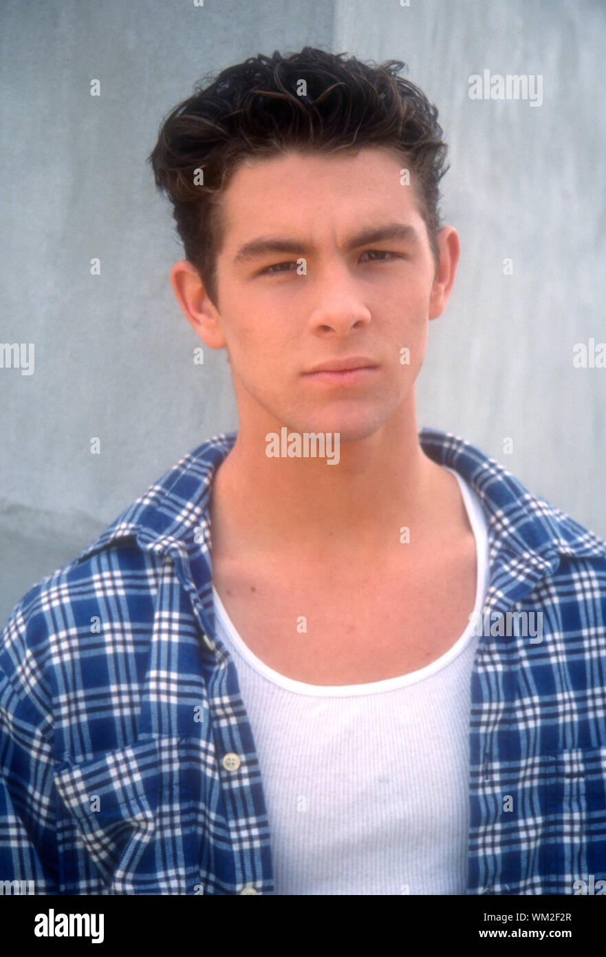 Los Angeles, California, USA 26th November 1994 (Exclusive) Actor Ryan ...