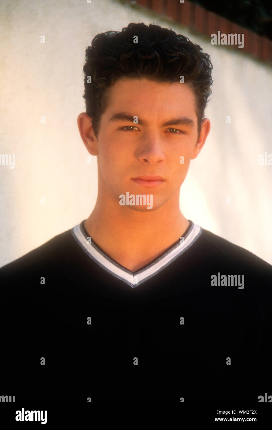 Los Angeles, California, USA 26th November 1994 (Exclusive) Actor Ryan ...
