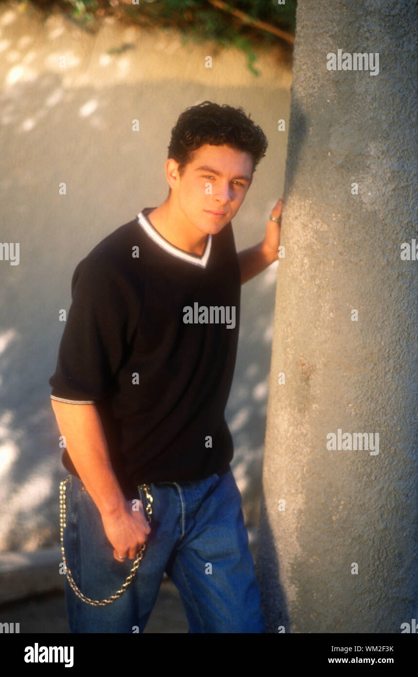 Los Angeles, California, USA 26th November 1994 (Exclusive) Actor Ryan ...