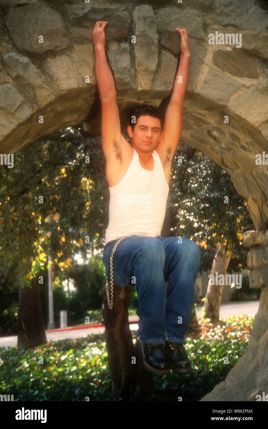 Los Angeles, California, USA 26th November 1994 (Exclusive) Actor Ryan ...