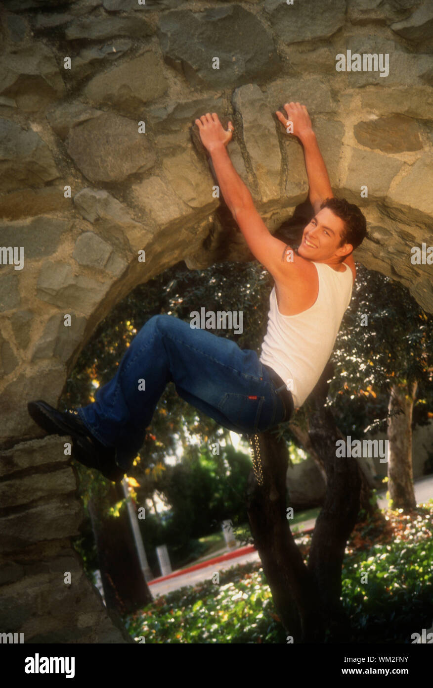 Los Angeles, California, USA 26th November 1994 (Exclusive) Actor Ryan ...