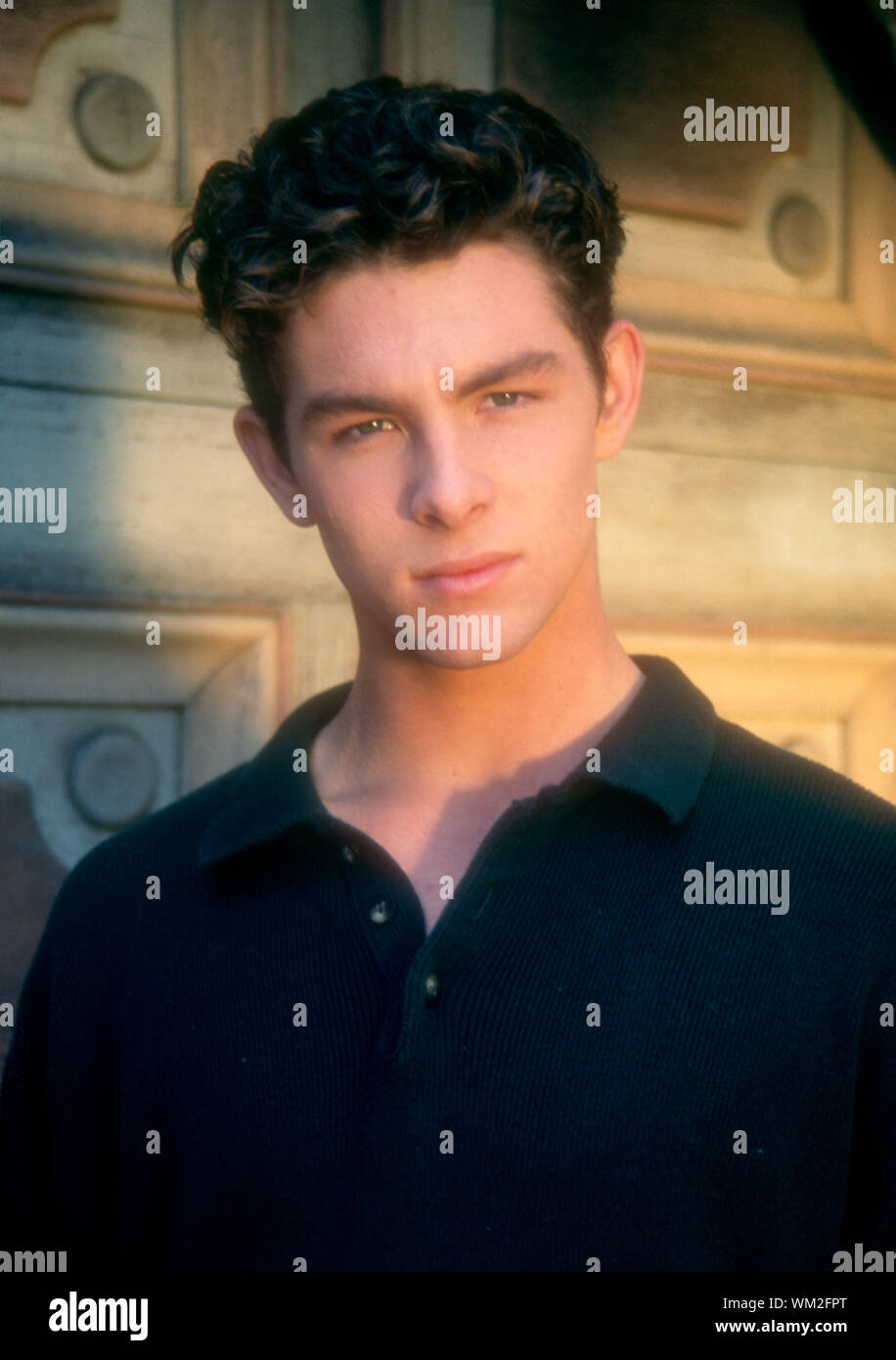 Los Angeles, California, USA 26th November 1994 (Exclusive) Actor Ryan ...