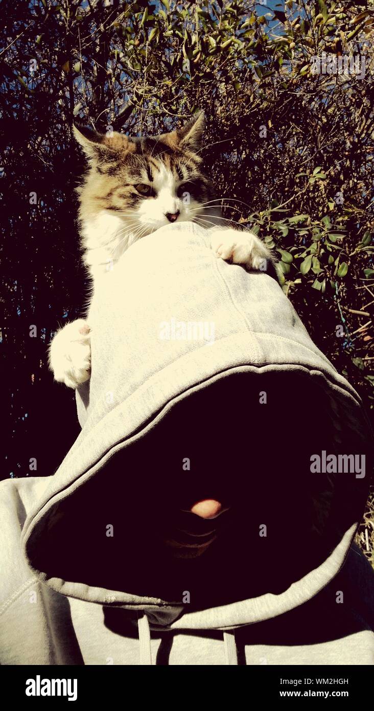 Hooded head hi-res stock photography and images - Alamy