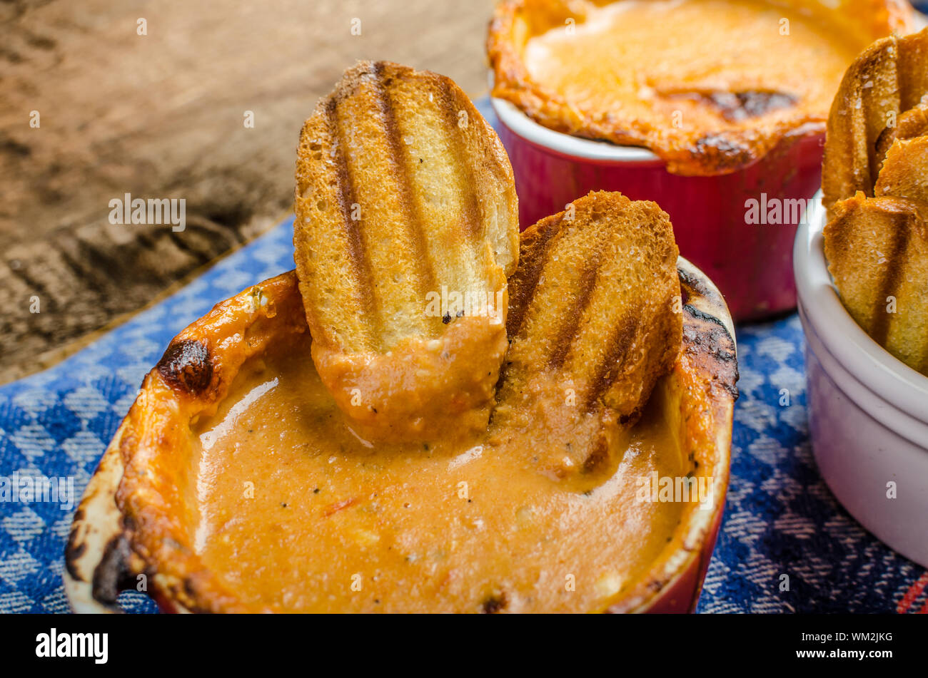Tomato and cheese dip baked with crispy garlic panini toast with herbs ...