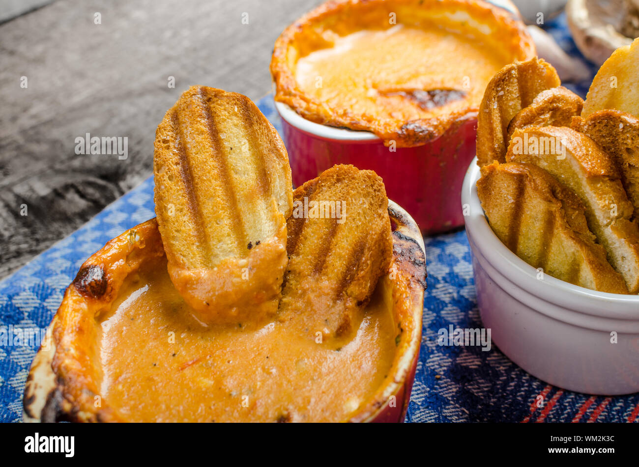 Tomato and cheese dip baked with crispy garlic panini toast with herbs ...
