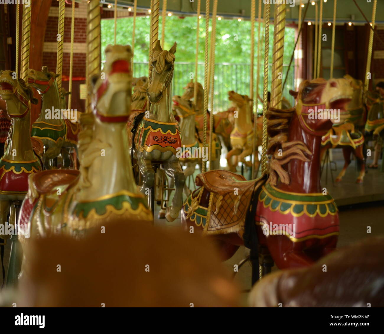 Carousel Animals High Resolution Stock Photography and Images - Alamy