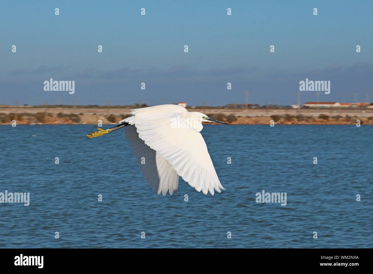 Swept wings hi-res stock photography and images - Alamy