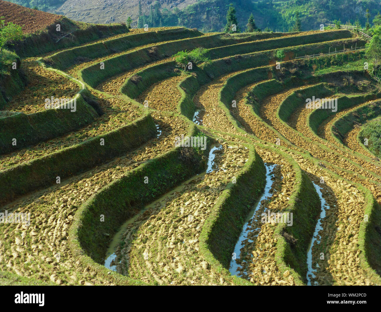 Terrace field hi-res stock photography and images - Alamy