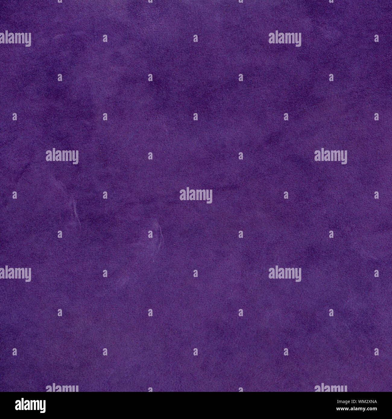Violet leather texture hi-res stock photography and images - Alamy