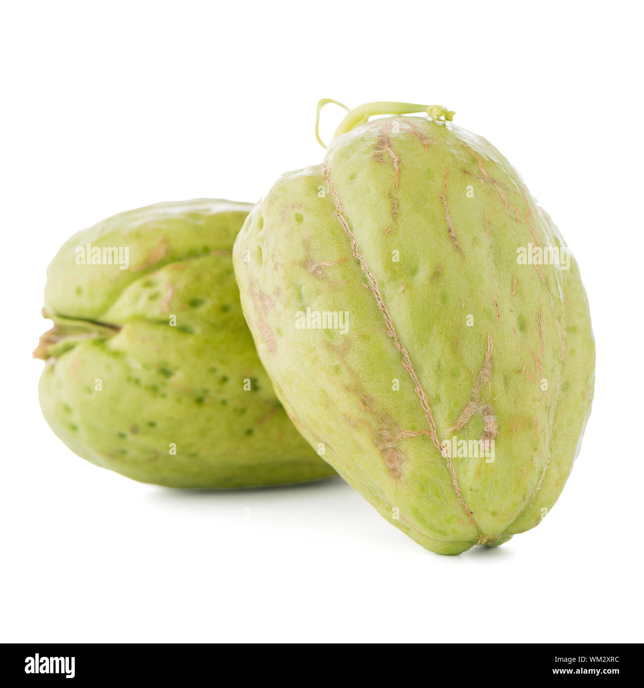 Chow chow fruit Cut Out Stock Images & Pictures - Alamy