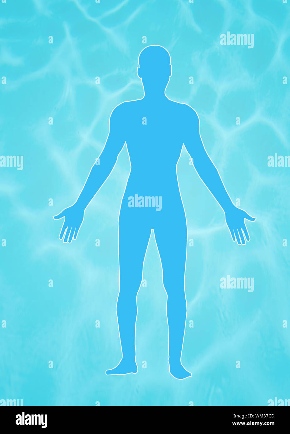 water in the body Stock Photo - Alamy