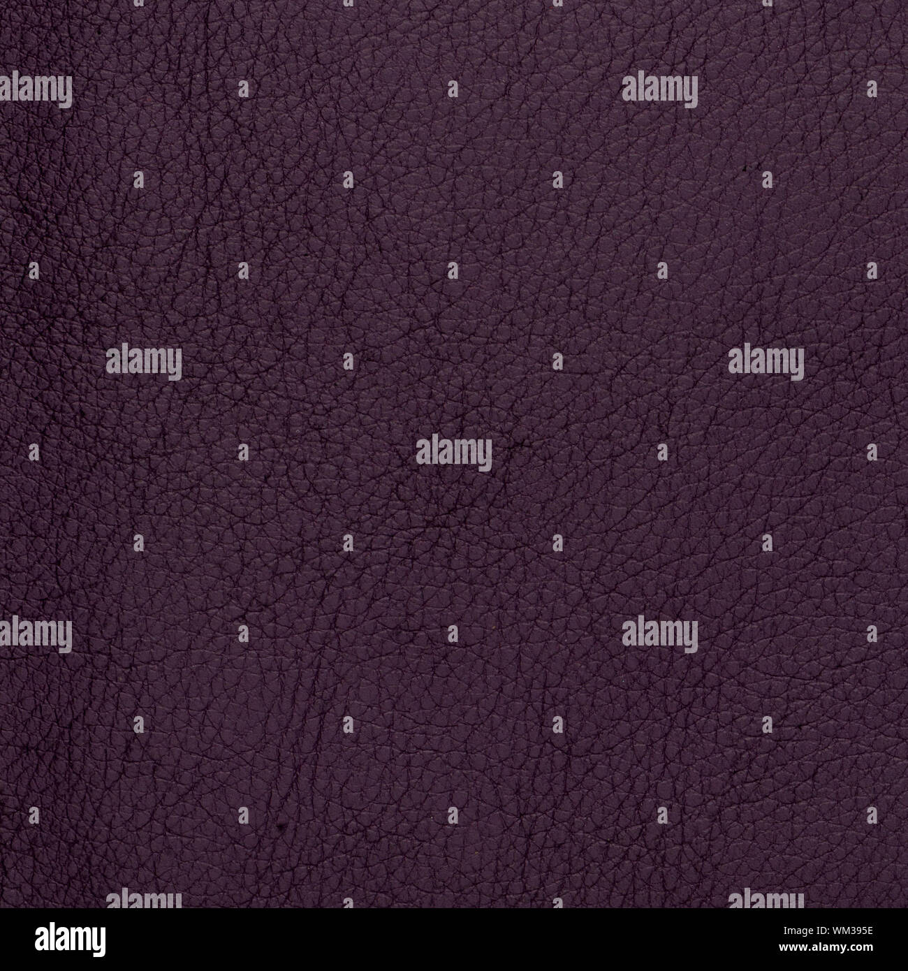 Violet leather texture hi-res stock photography and images - Alamy