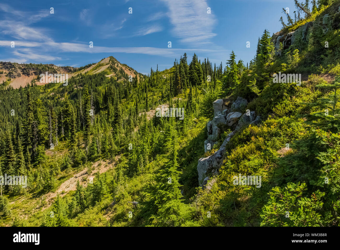 Subalpine forest along the combined Pacific Crest Trail and Naches Peak ...