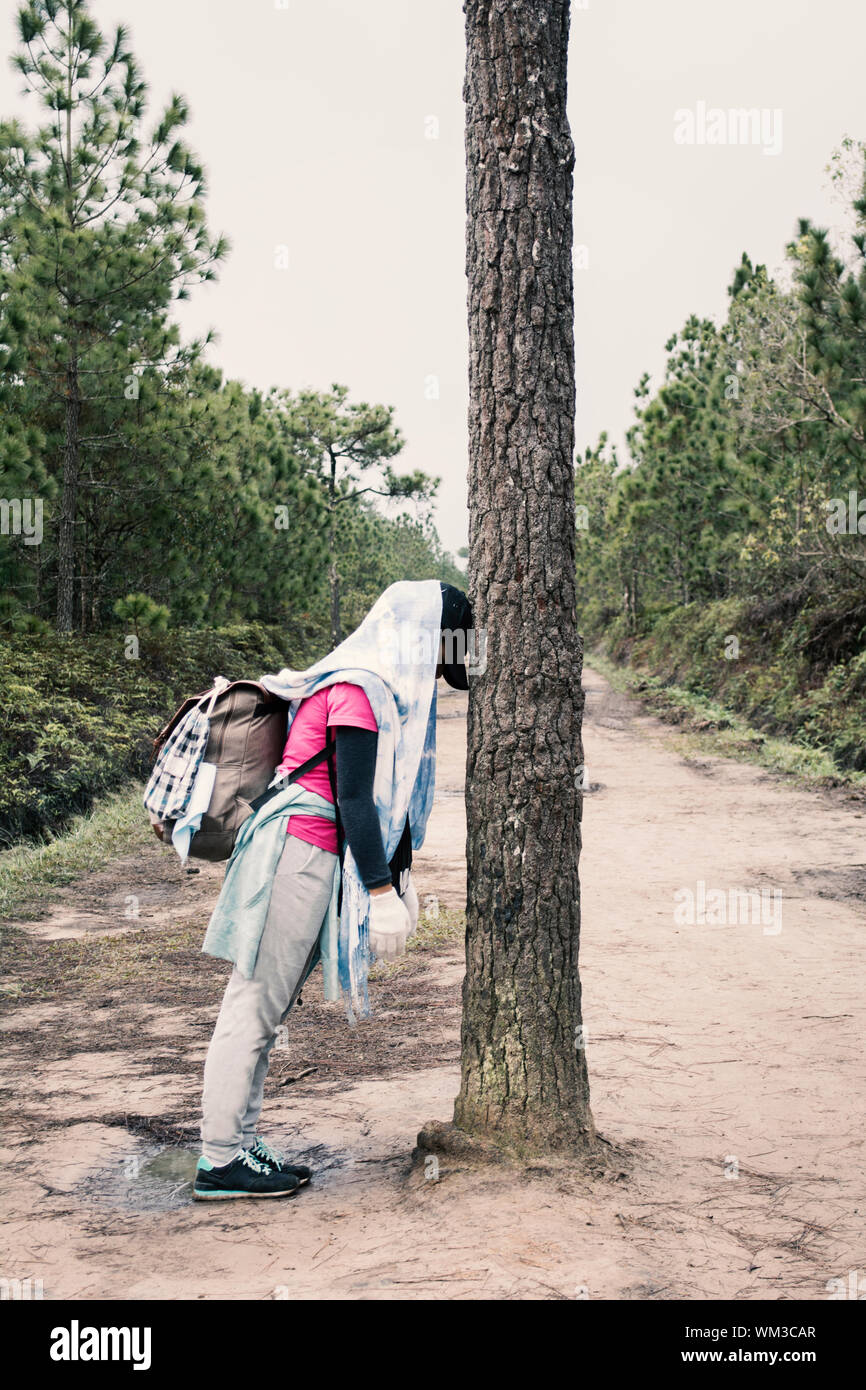 The leaning tree hi-res stock photography and images - Alamy