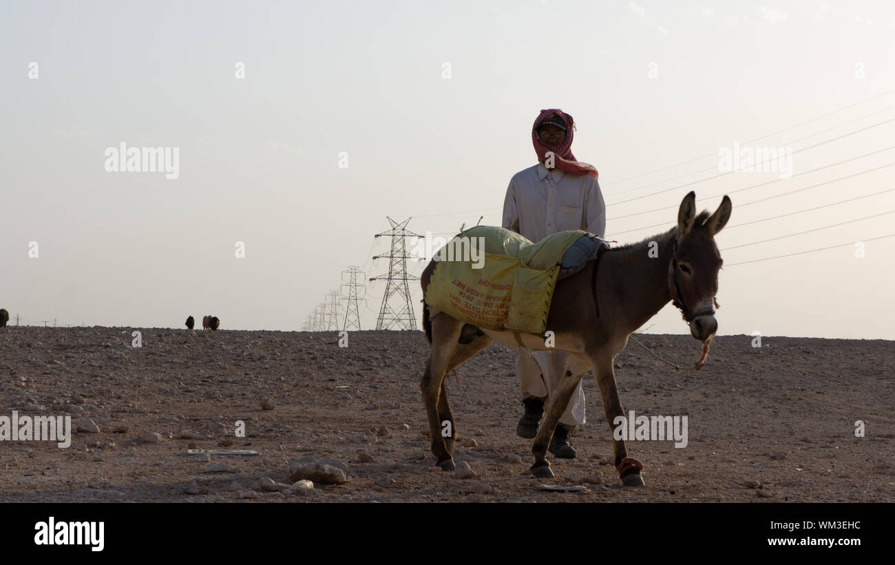 A shepherd in Arab Clothing with a donkey walking in the desert in Doha ...