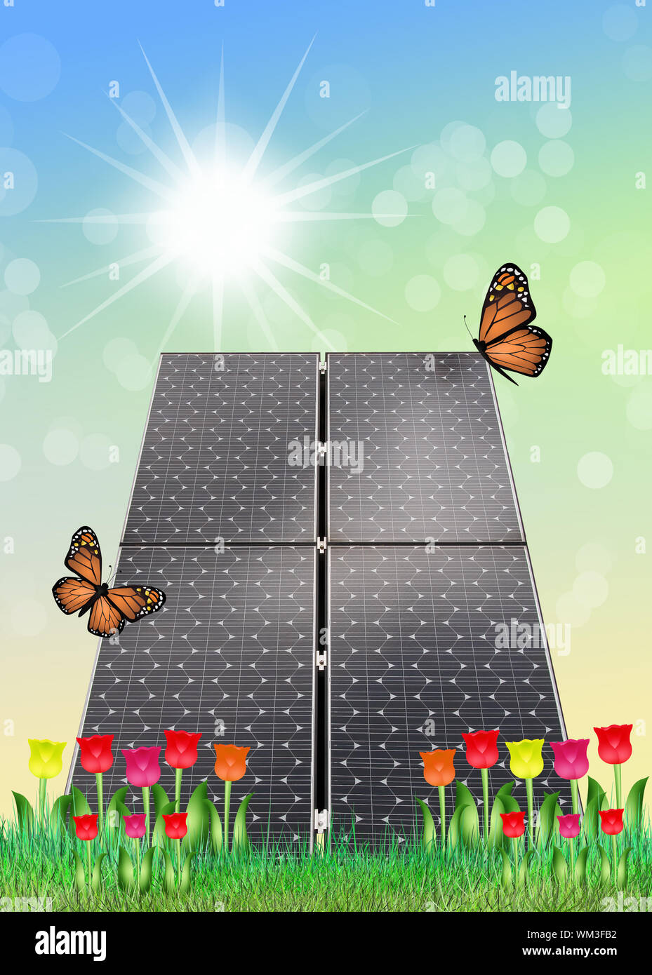 Solar panels field of flowers hi-res stock photography and images - Alamy